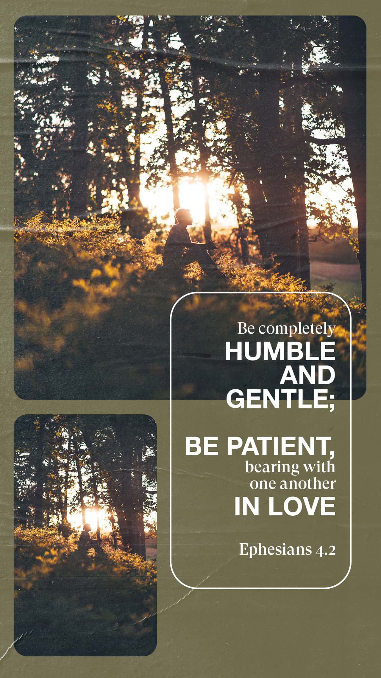 Freedom - Freed - Stand Firm